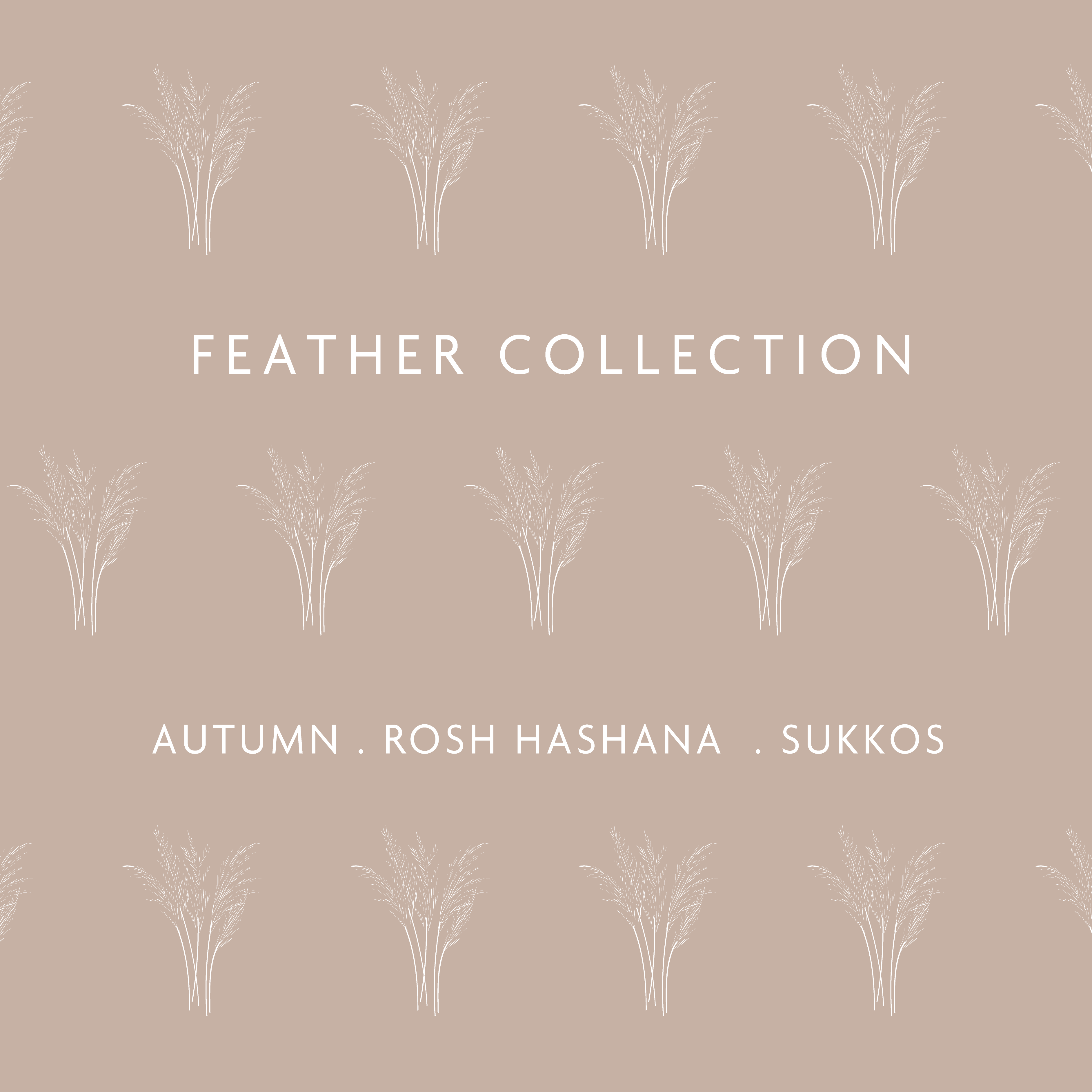 Feather Collection | Rachel Ostroy – The Stamp Studio