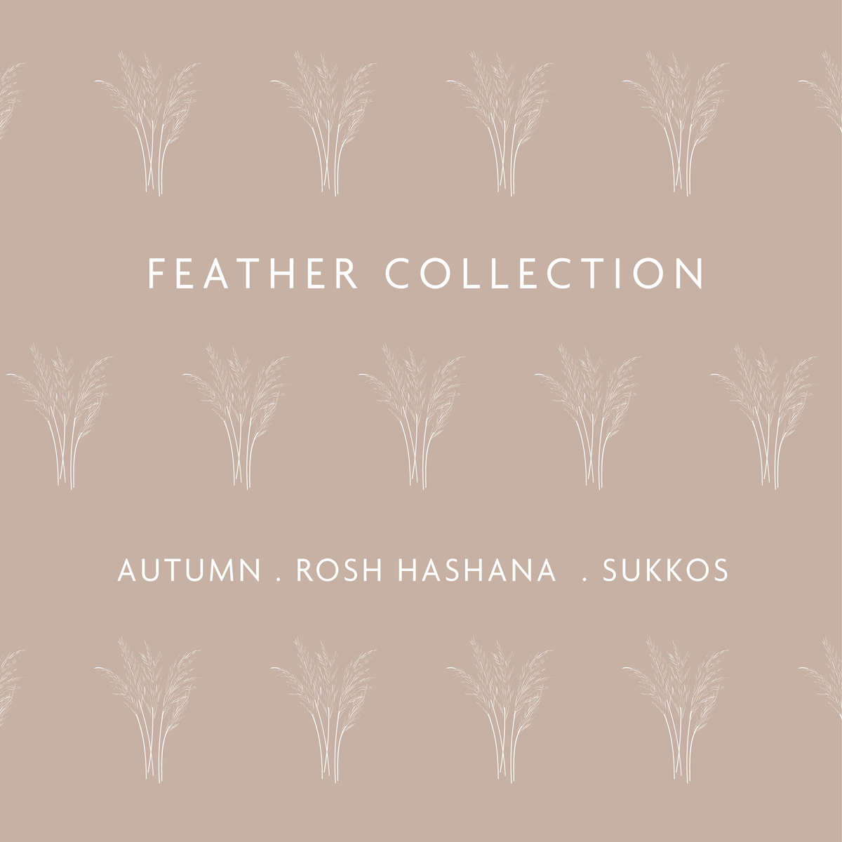 Feather Collection | Rachel Ostroy – The Stamp Studio